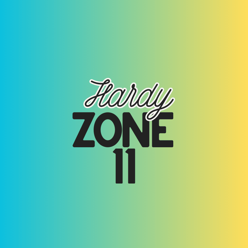 Cold-Hardy Plants for Zone 11 – Florida Plants Nursery